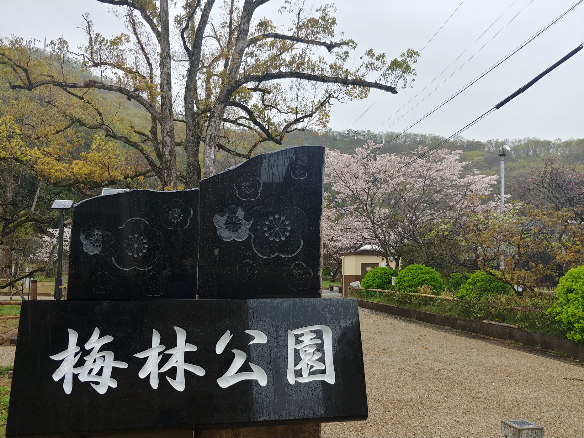 広報社員ブログ「HOPE!STEP!JUMP!」の移転＆定期更新 | 株式会社ホープ